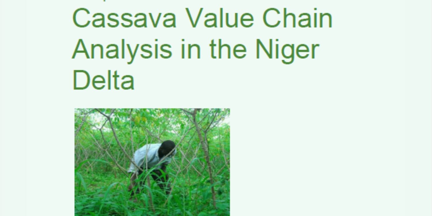 Cassava Value Chain Analysis — PIND Foundation Cassava Value Chain Analysis — PIND Foundation
